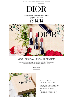Dior Email Marketing Strategy & Campaigns | MailCharts